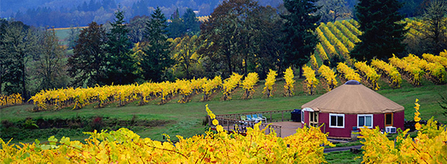 Pacific Yurts – Modern & High Quality Award-Winning Yurts