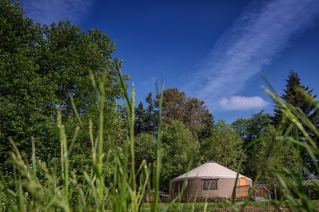 The International Appeal of Pacific Yurts